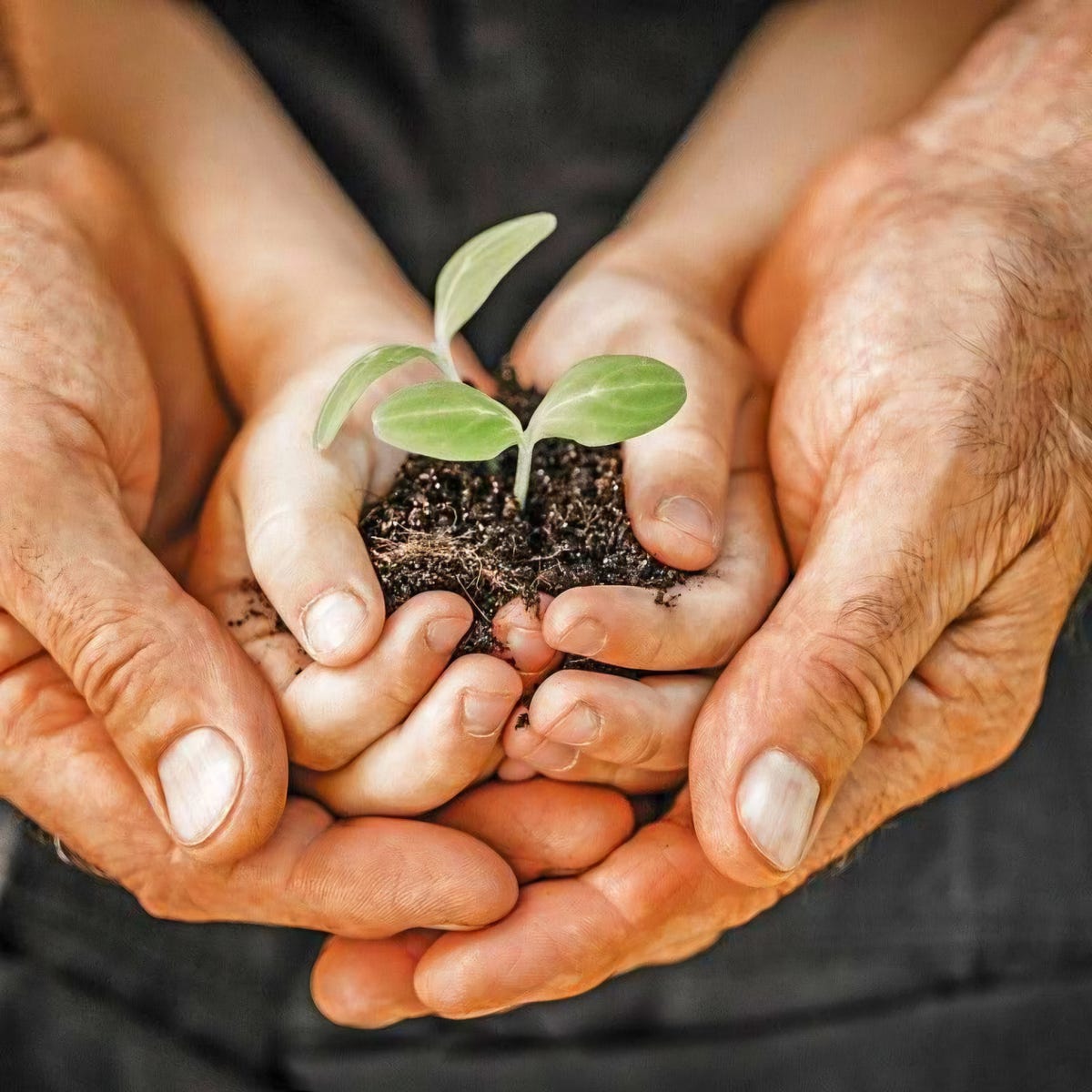 The Kindness Catalyst: How HANGKOP Came to Life from the Fervent Heart ...