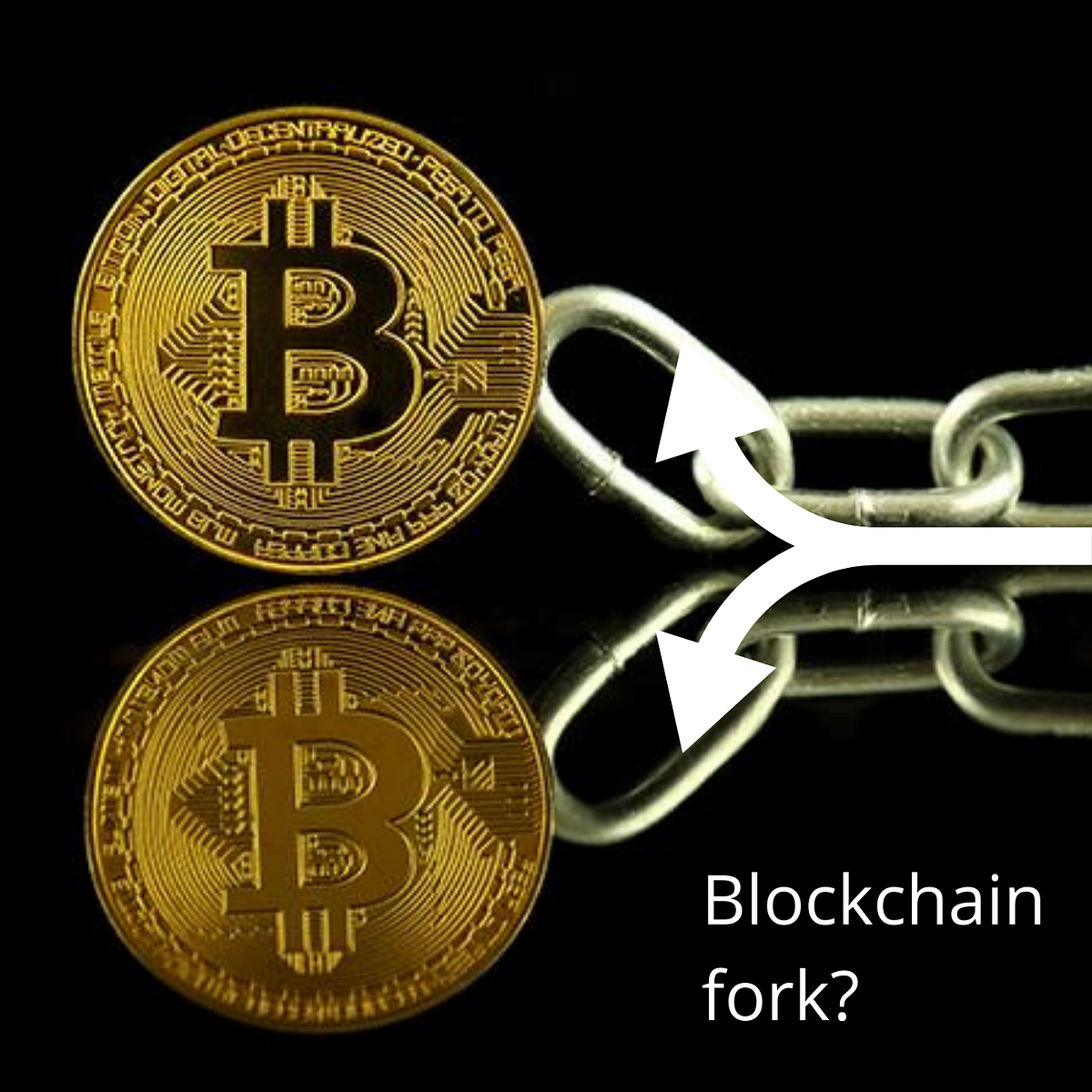 What Is a Fork?. Cryptocurrencies such as Bitcoin and… | by Abrar Niloy ...