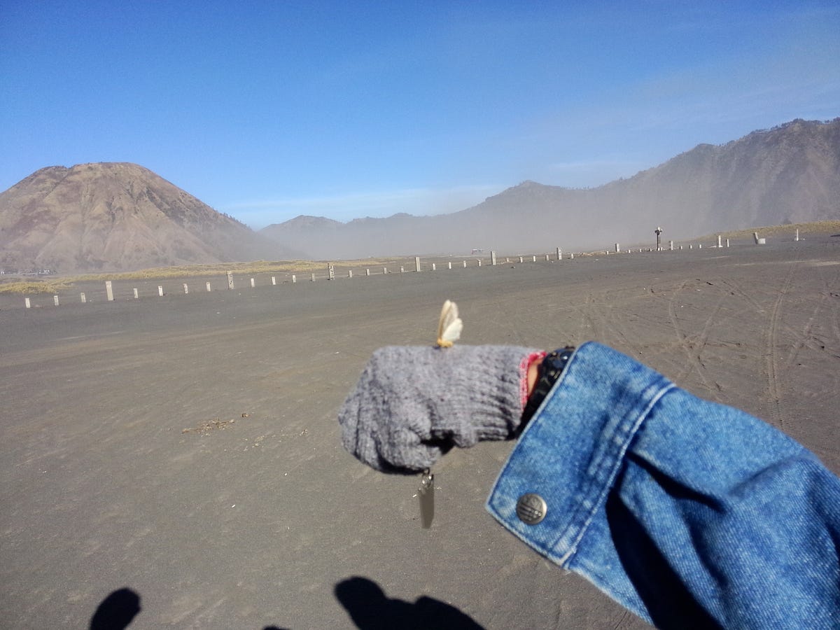 Aku Ingin. “Aku ingin mencintaimu dengan… | by Kenno Robby Pradana | Medium