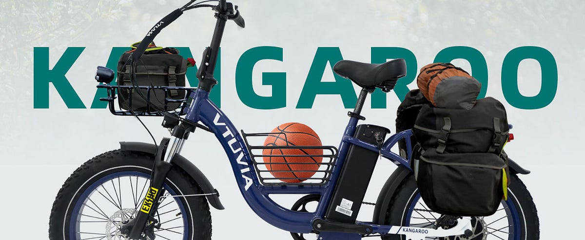 Revolutionising Urban Mobility: The Electric Cargo Bike Trend You Can’t ...