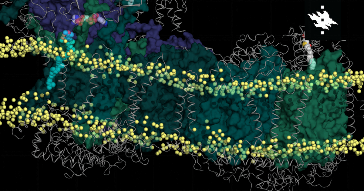 How are Protein Structures Refined? | by Mukundh Murthy | Medium