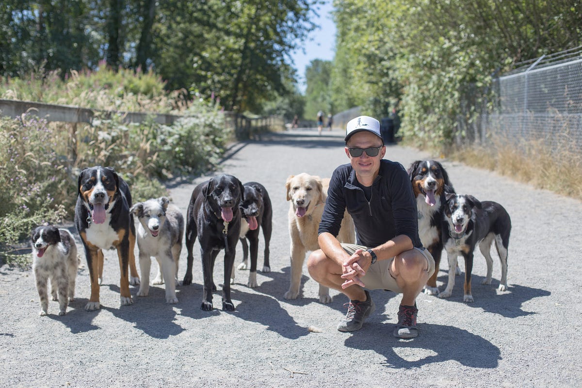 Philosophy: Dogs are born perfect. | by Dustin Schmidt | Medium