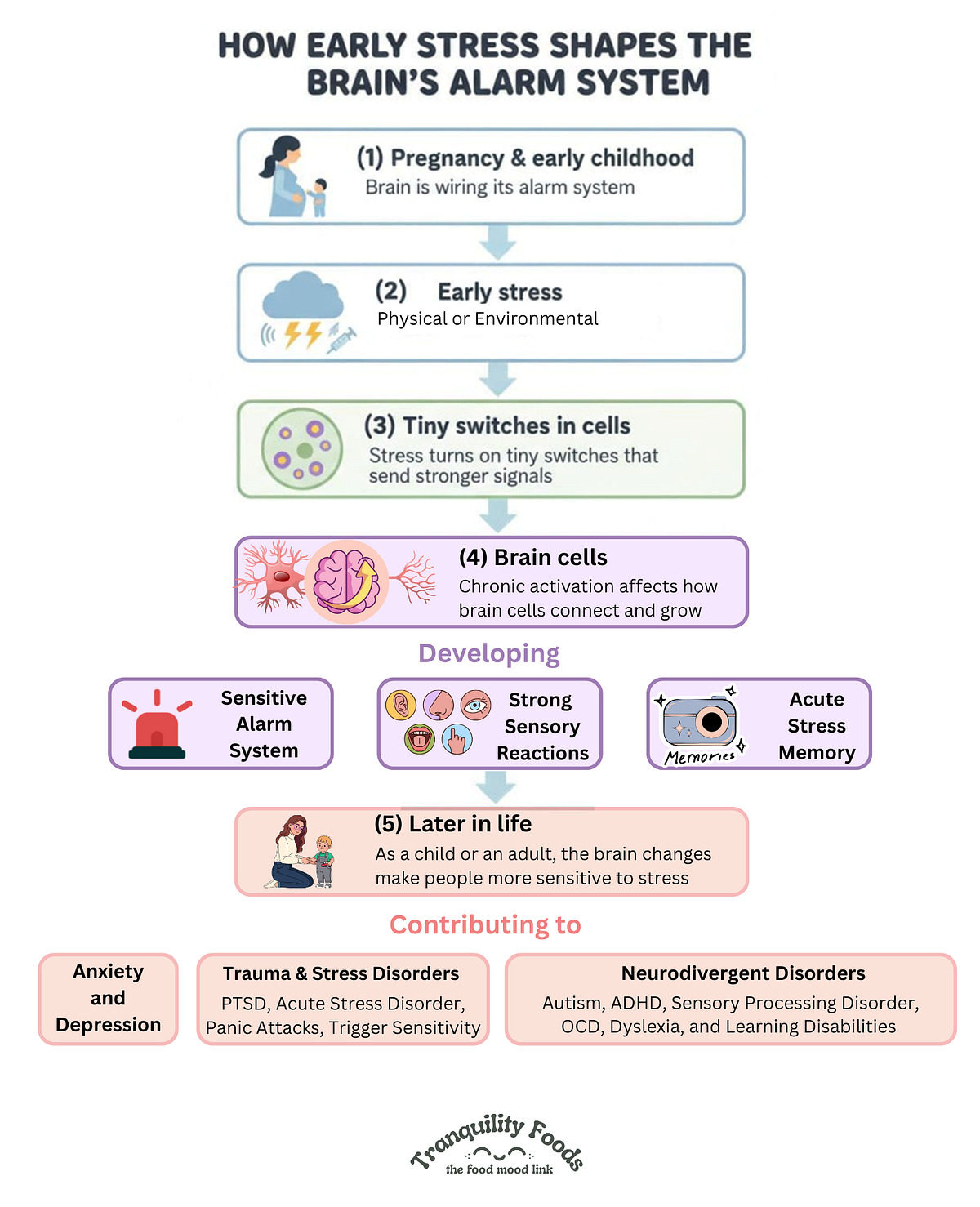 Tiny Hearts, Big Worries: How Silent Stress Affects Your Baby’s Brain ...