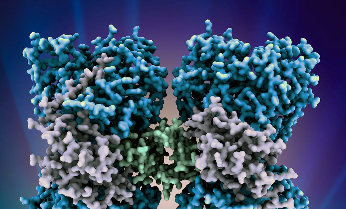 Ab Initio Protein Folding. An overview of some current Methods to… | by ...