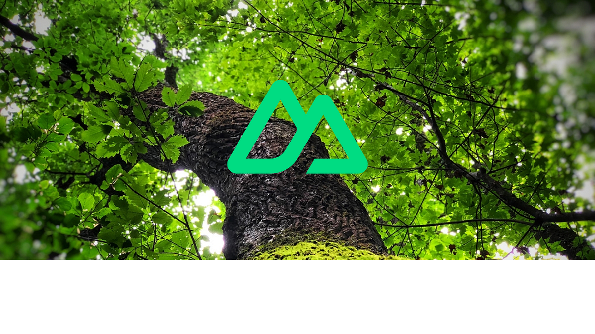 .env Using Environment Variables in Nuxt 3 (options and composition api) | by Javokhirbek ...