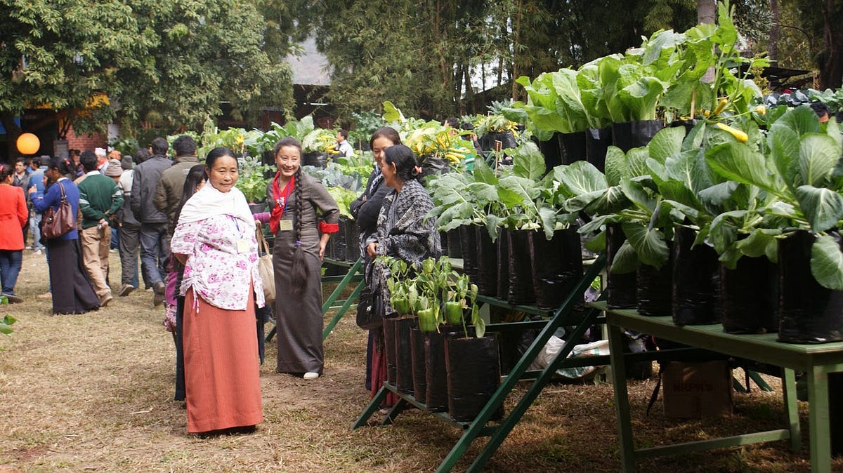 Sikkim’s journey on becoming the first 100% Organic Farming State | by ...