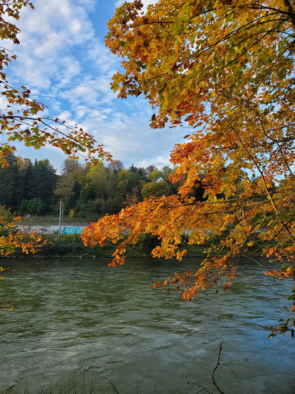 Harvest Season: Celebrating Autumn’s Bounty with Delicious Recipes | by ...