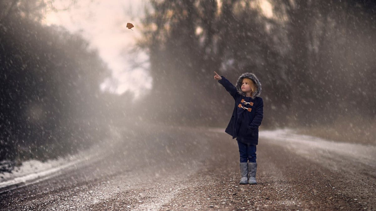 The Child and the Falling Leaf. The photograph presents a poignant ...