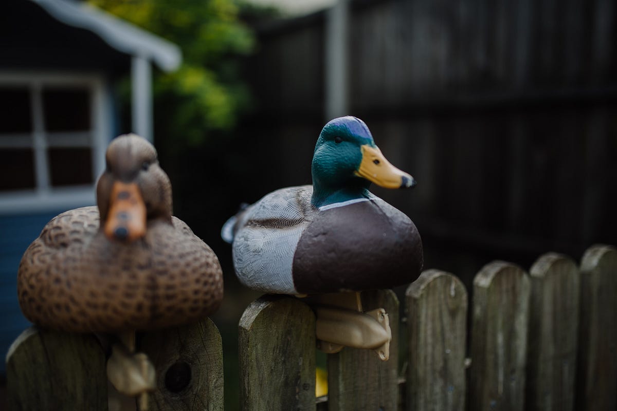 Golang’s Interfaces explained with Mocks | The Startup