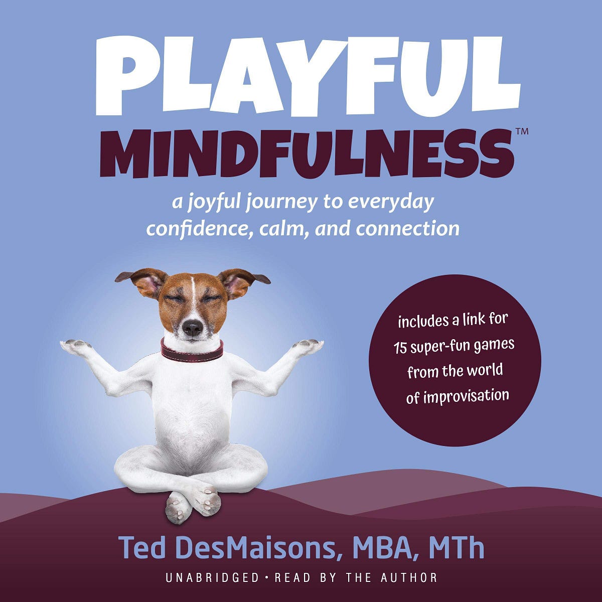 [DOWNLOAD][BEST]} Playful Mindfulness: A Joyful Journey to Everyday ...
