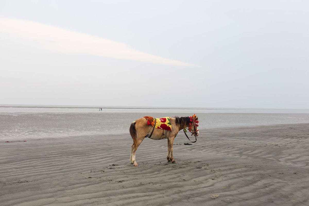 Coastline Chronicles. For Indians, a large part of the… | by Tuhin ...