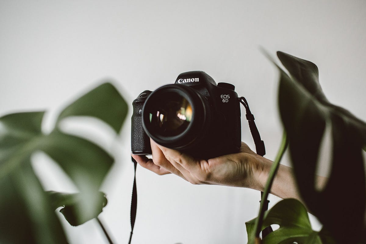 How To Make $500 A Month On Shutterstock | by Anthony Lam | Medium