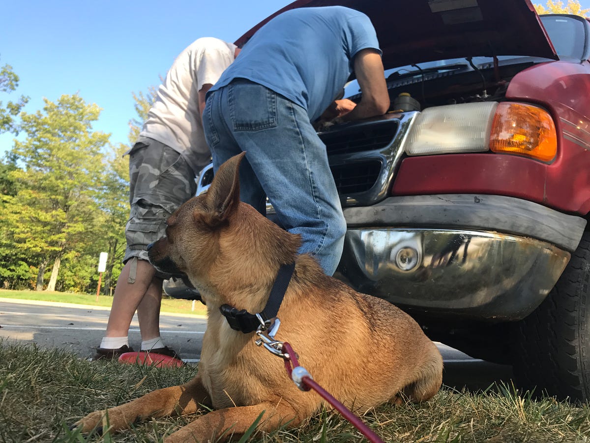 Into Sweet Home Pennsylvania. Car talk and the return after 18 years ...