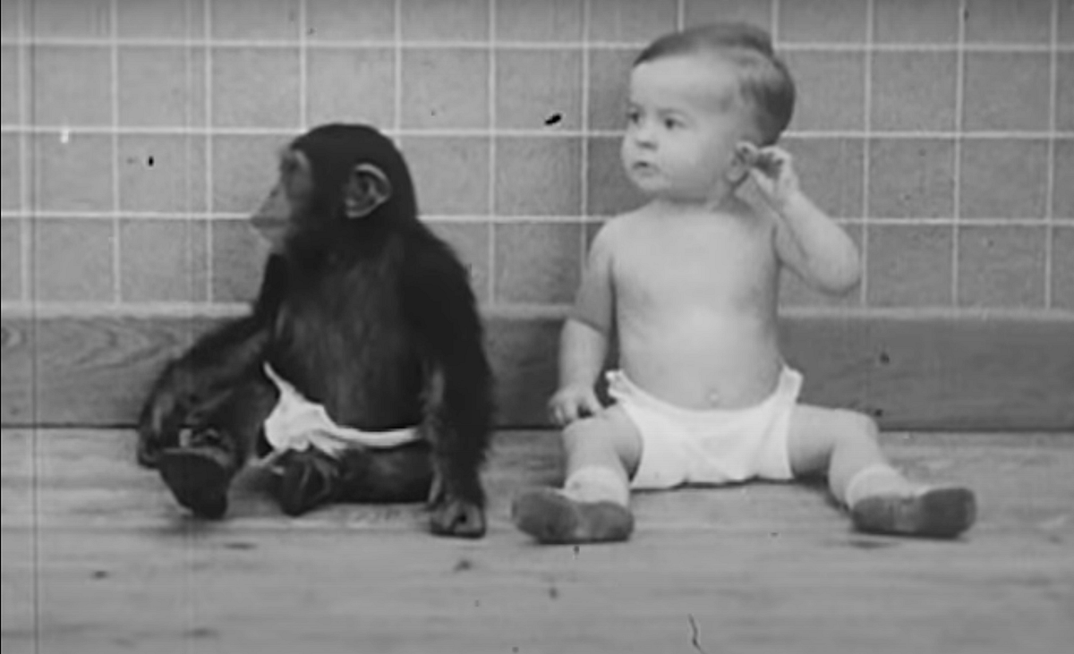 This Couple Raised an Ape and Their Son as Brother and Sister | by Elad ...