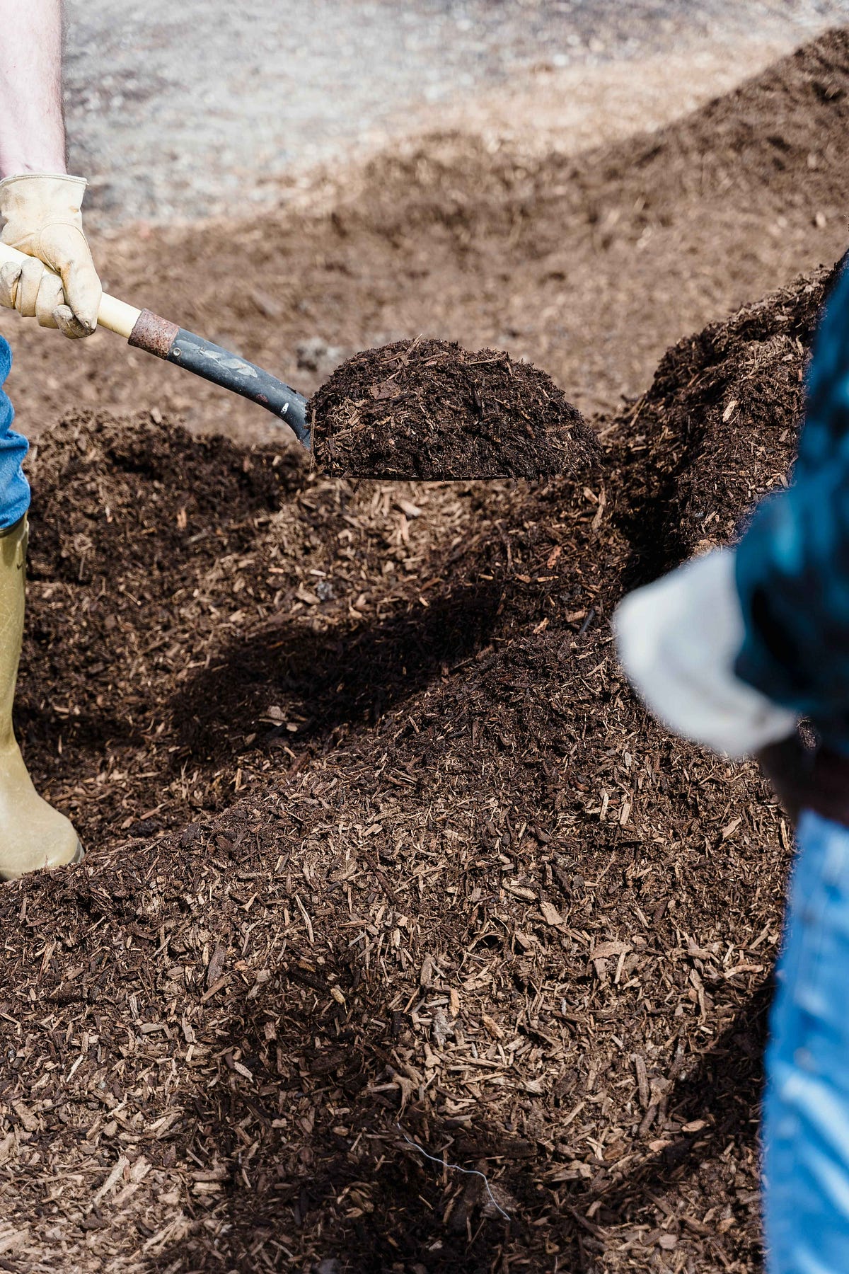 A Beginner’s Guide to Making Compost: Transforming Waste into Garden ...