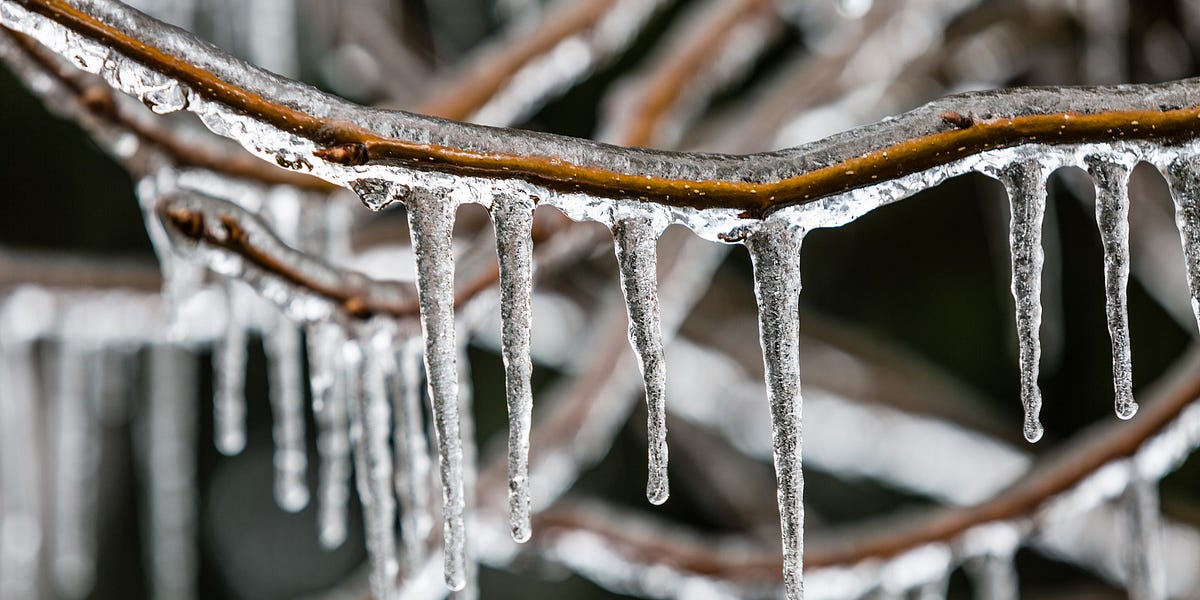 Const Vs Object Freeze In Javascript Object And Array By Rahil Shaikh Geek Culture Medium