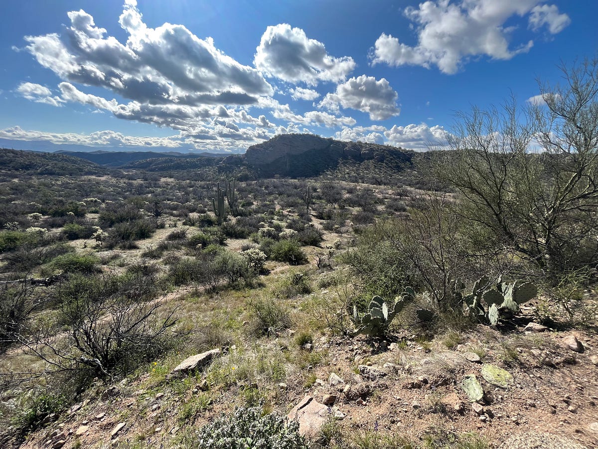 Day 20 — 19.8 miles — Beehive Well to Wildlife Tank/Junction | by ...