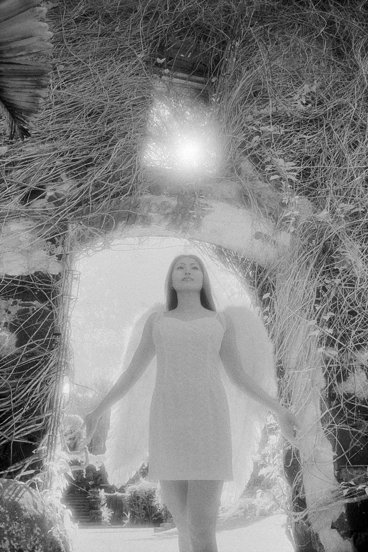 Short Story Time: Story 2 — Ethereal (Part 1) | by Miijii | Medium