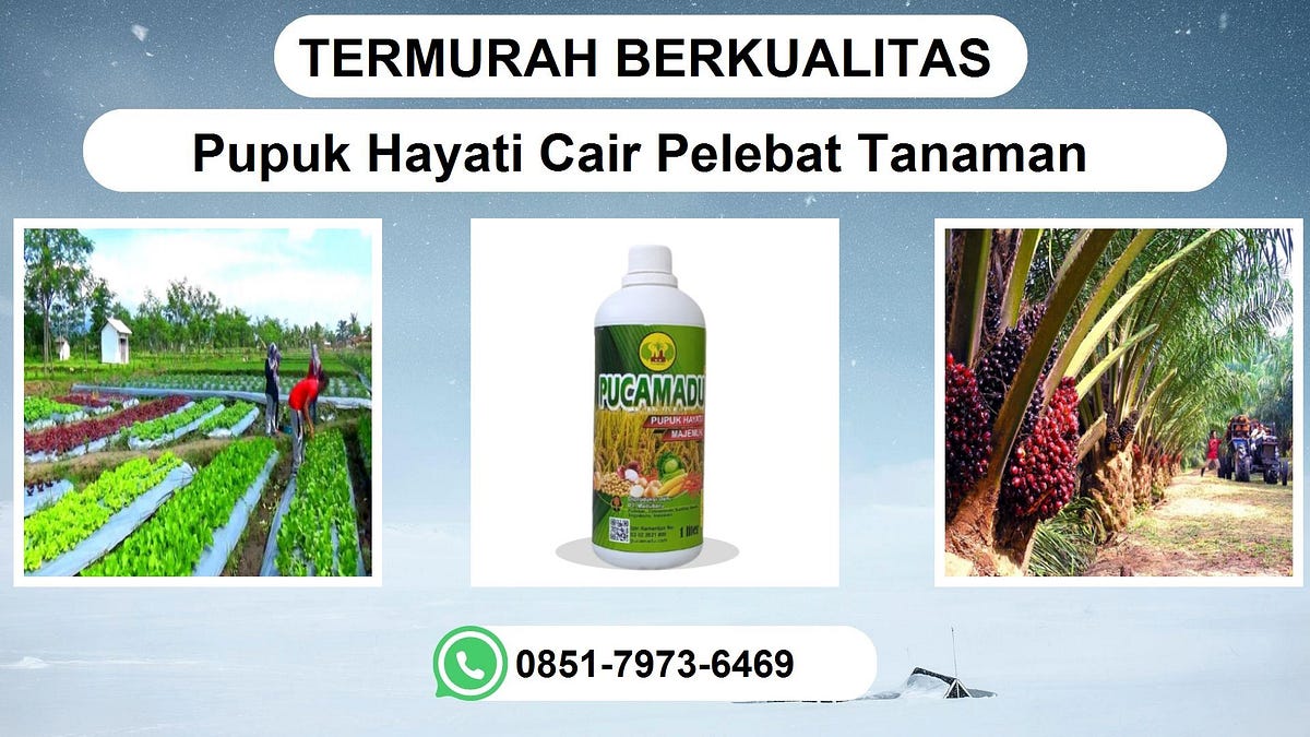 WA 851–7973–6469, Harga Pupuk Hayati Cair Terbaik di Ambon ...