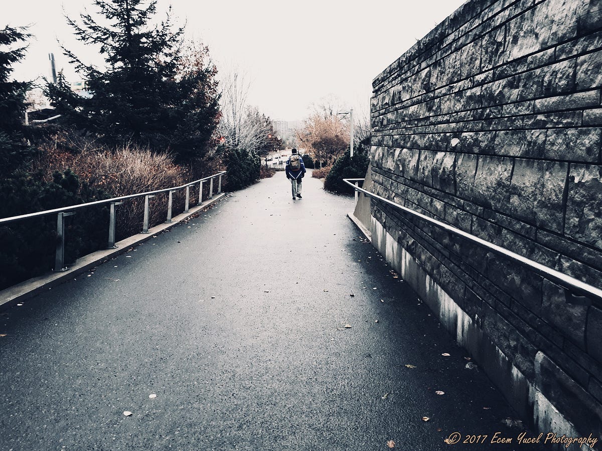 The Last Letter. Lit Up — February’s Prompt: Letters | by Ecem Yucel | Lit Up | Medium