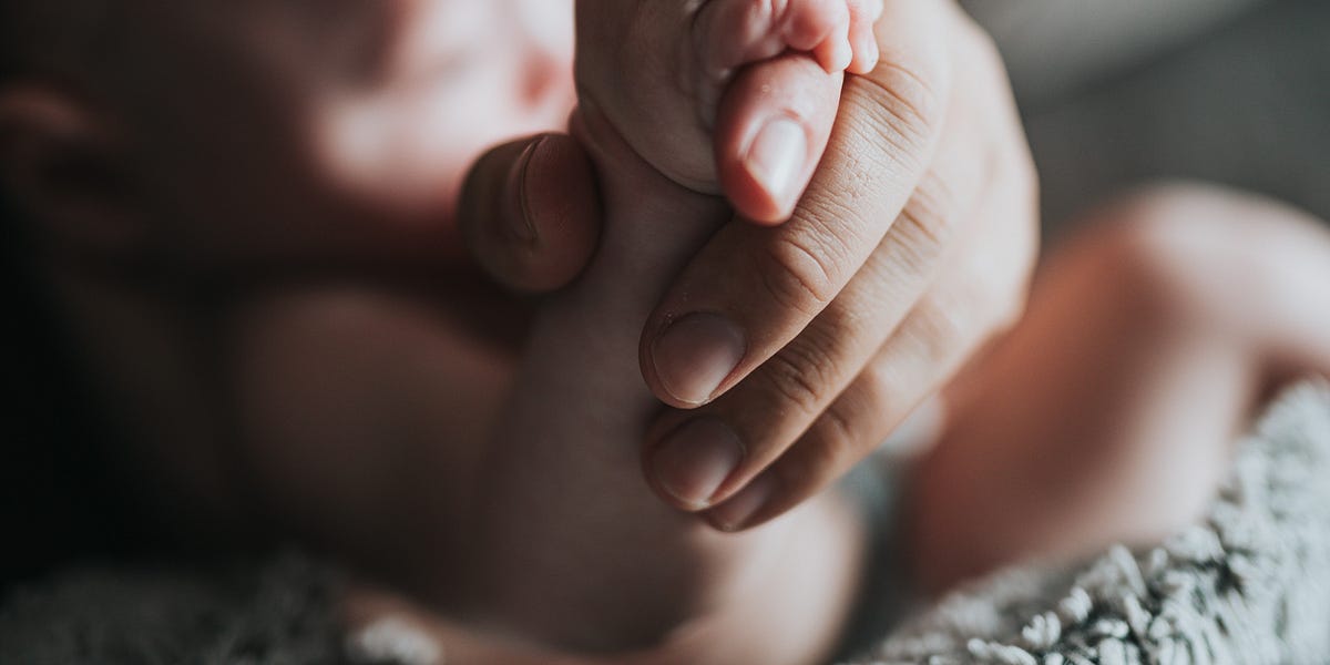 Artificial wombs: The reality, risks, and rewards | by Sofia Sanchez ...