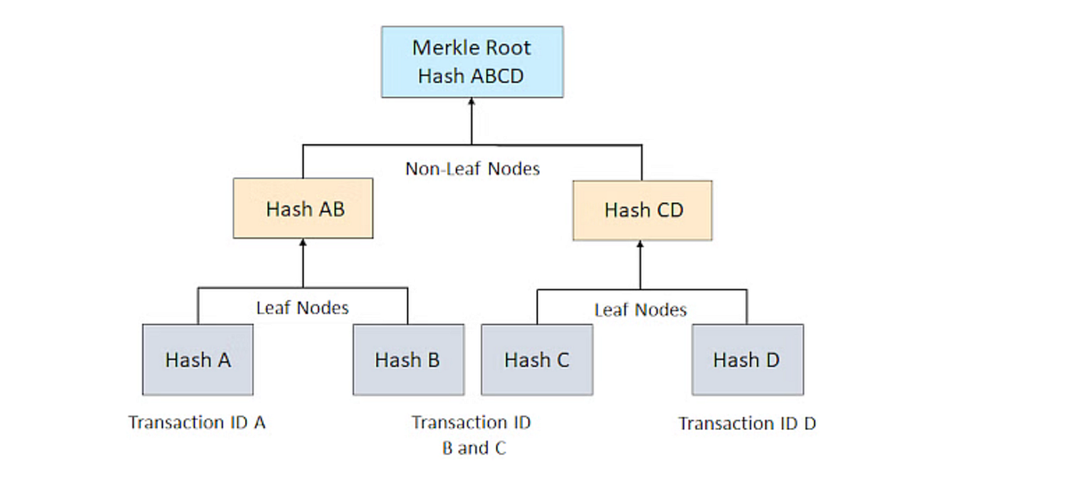 Understanding Merkle trees and Merkle root in bitcoin blocks | by murgor joseph | Medium