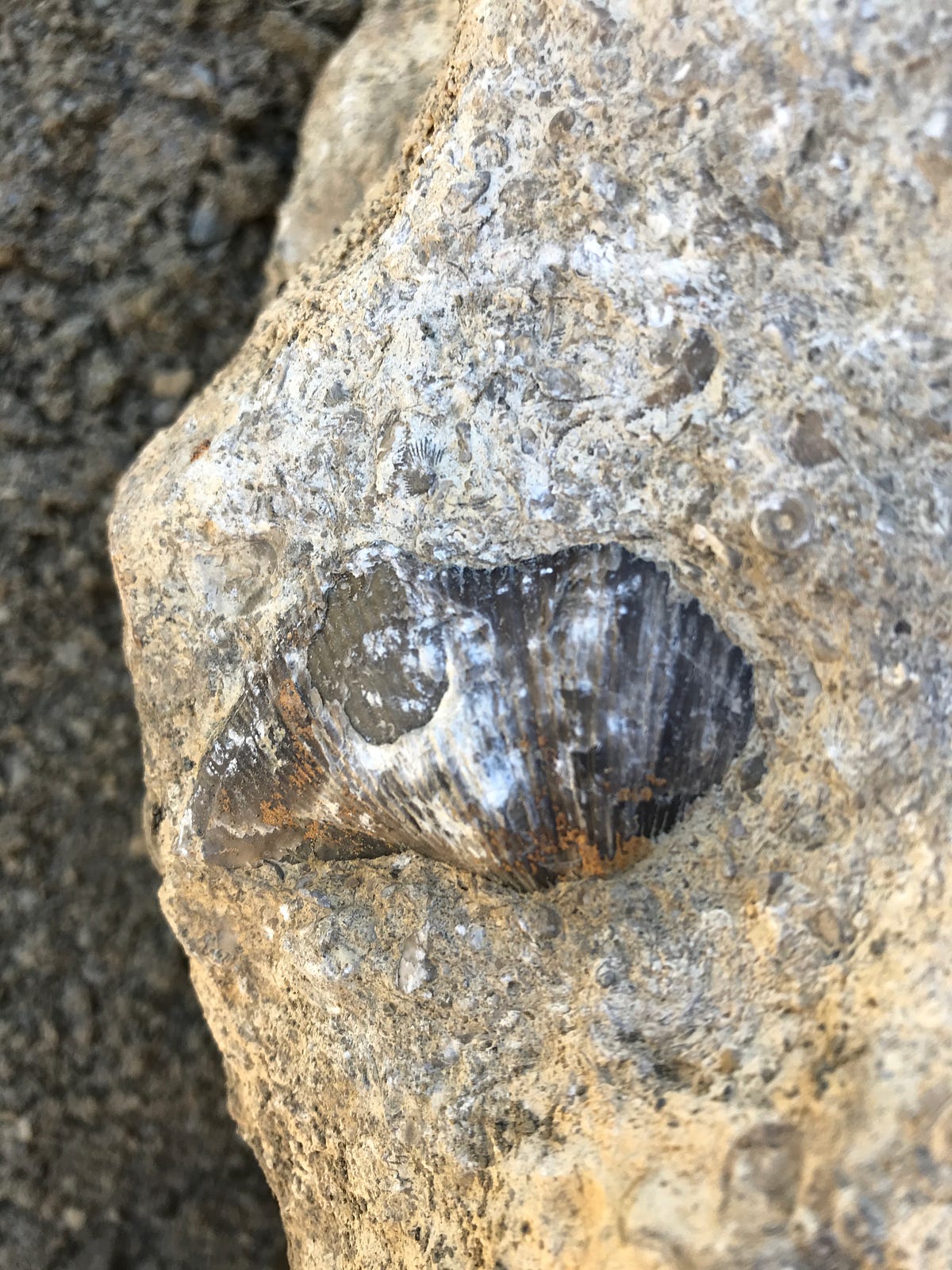 The difficulty of seeing things when you don’t know what to look for ...