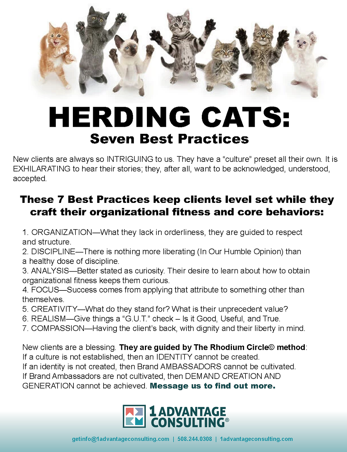 HERDING PROJECT TEAM CATS: Seven Best Practices - Donna Kayarian ...