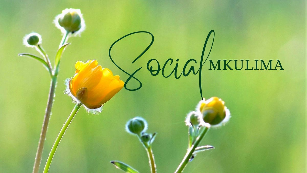 Social Mkulima, the making.. Purpose of the project. | by Dennis Omandi ...