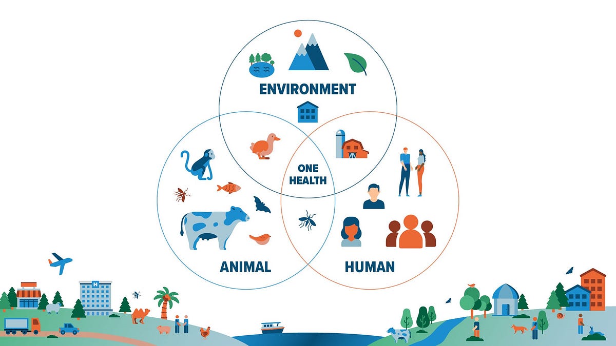 One Health: It’s Not Just About Us, It’s About All of Us! | by Patricia ...
