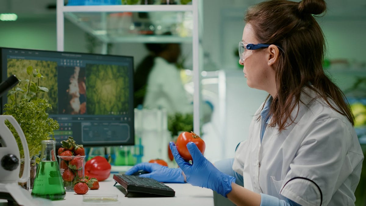 Ensuring Safety And Quality: The Importance Of Food Testing With FARE ...