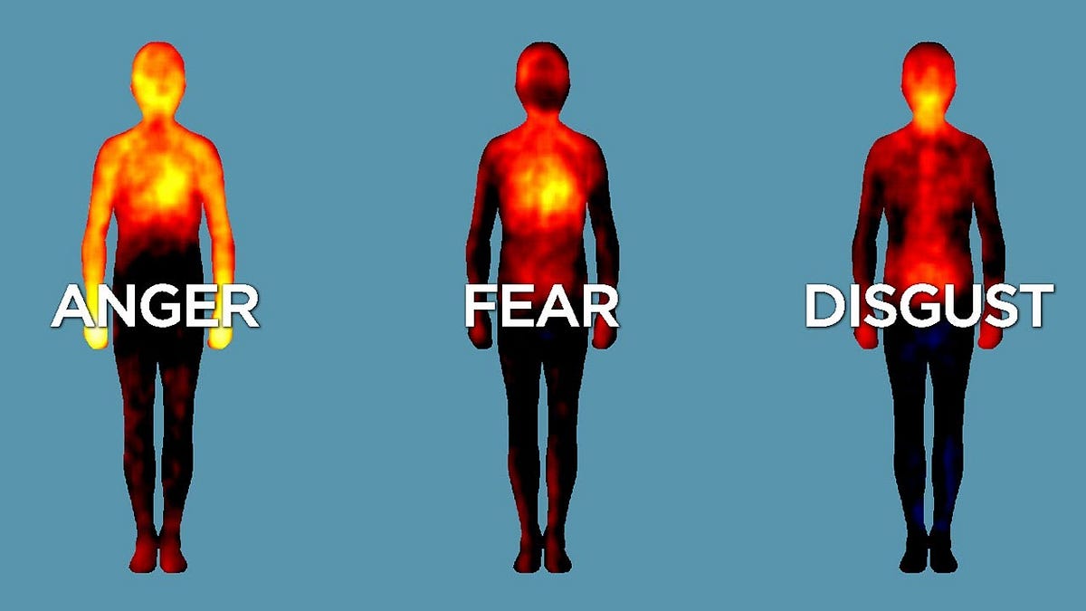 Why Emotions Make Us Warm All Over | by Devin C. Hughes | Fit Yourself ...