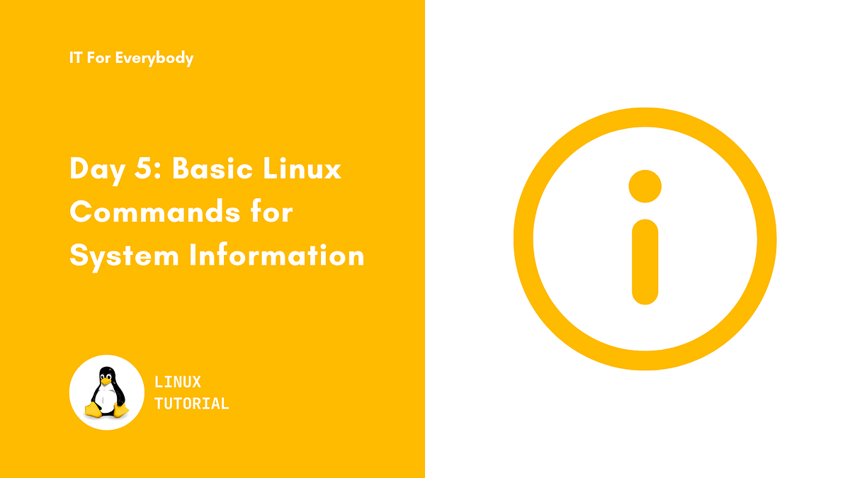 Day 5: Basic Linux Commands for System Information | by Aliyan Shaikh ...