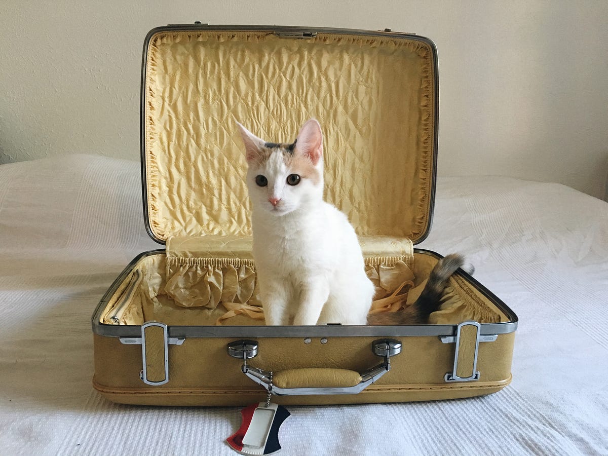 Saying Goodbye to the Yellow Suitcase | by Kaytee Stephens | Medium