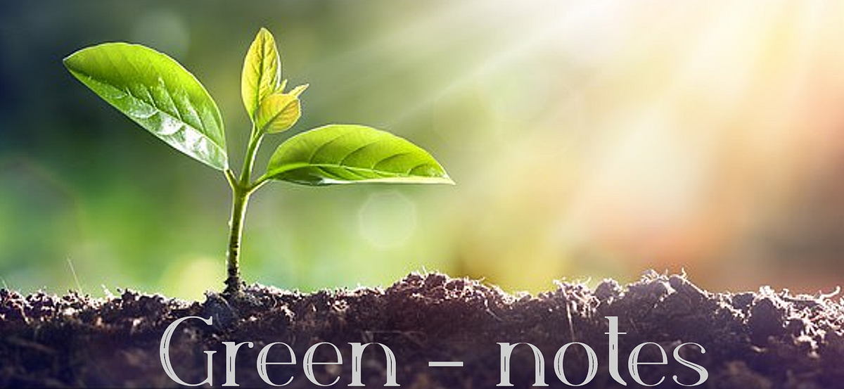 Green — notes. This week i am talking all about… | by Sam McLaren ...