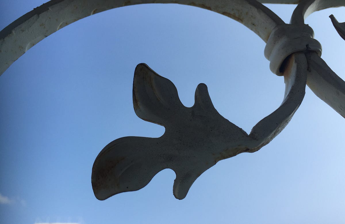 Haiku for a Sunny Day. Bright blue sunny sky | by Lucinda Ritter | Medium