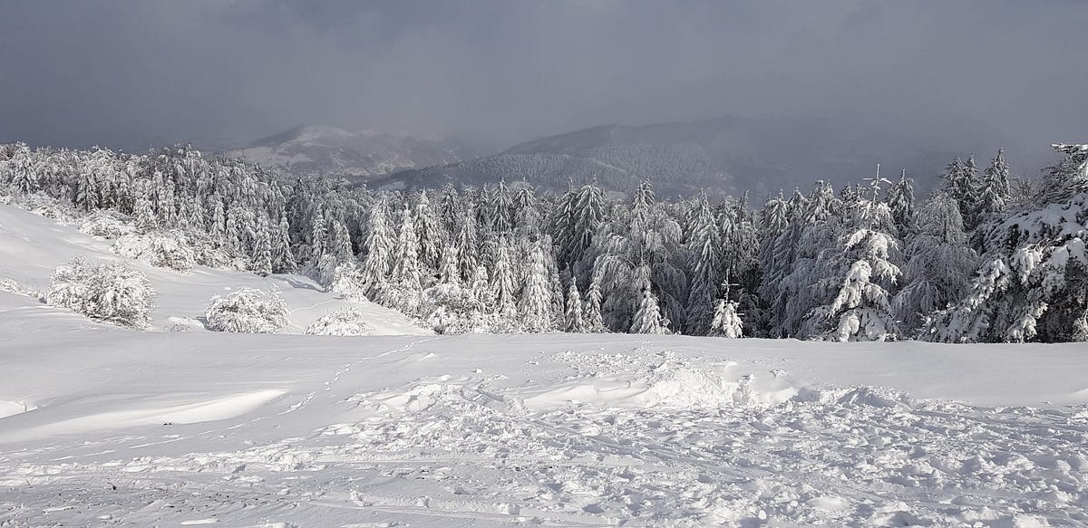 Postcards from the Real Winter Wonderland | Globetrotters