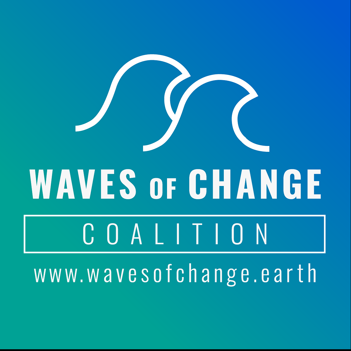 Waves of Change Coalition — Biarritz | by Laurent | Surf Culture | Medium
