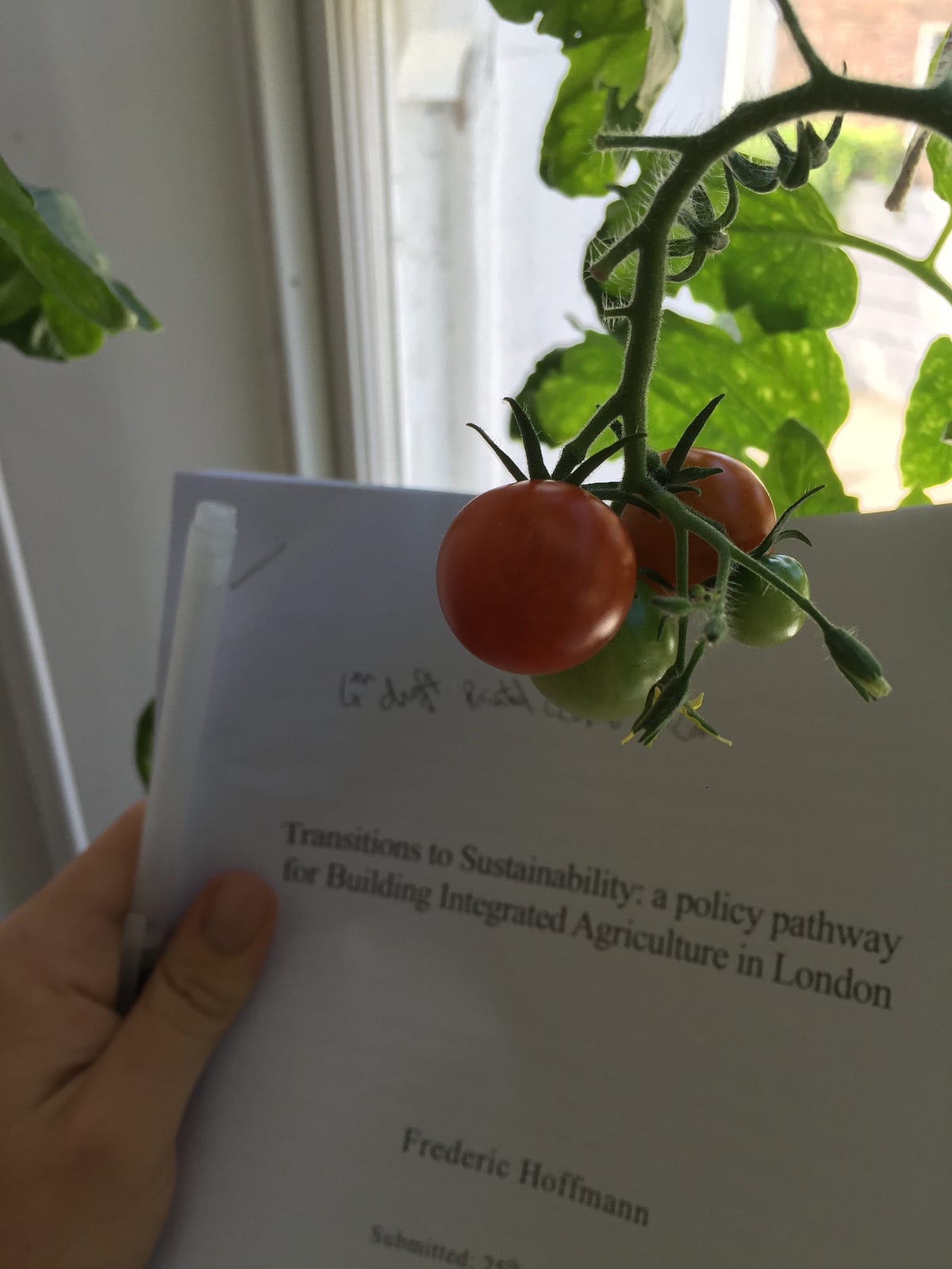 New blog series: Urban sustainability and vertical farming | by ...
