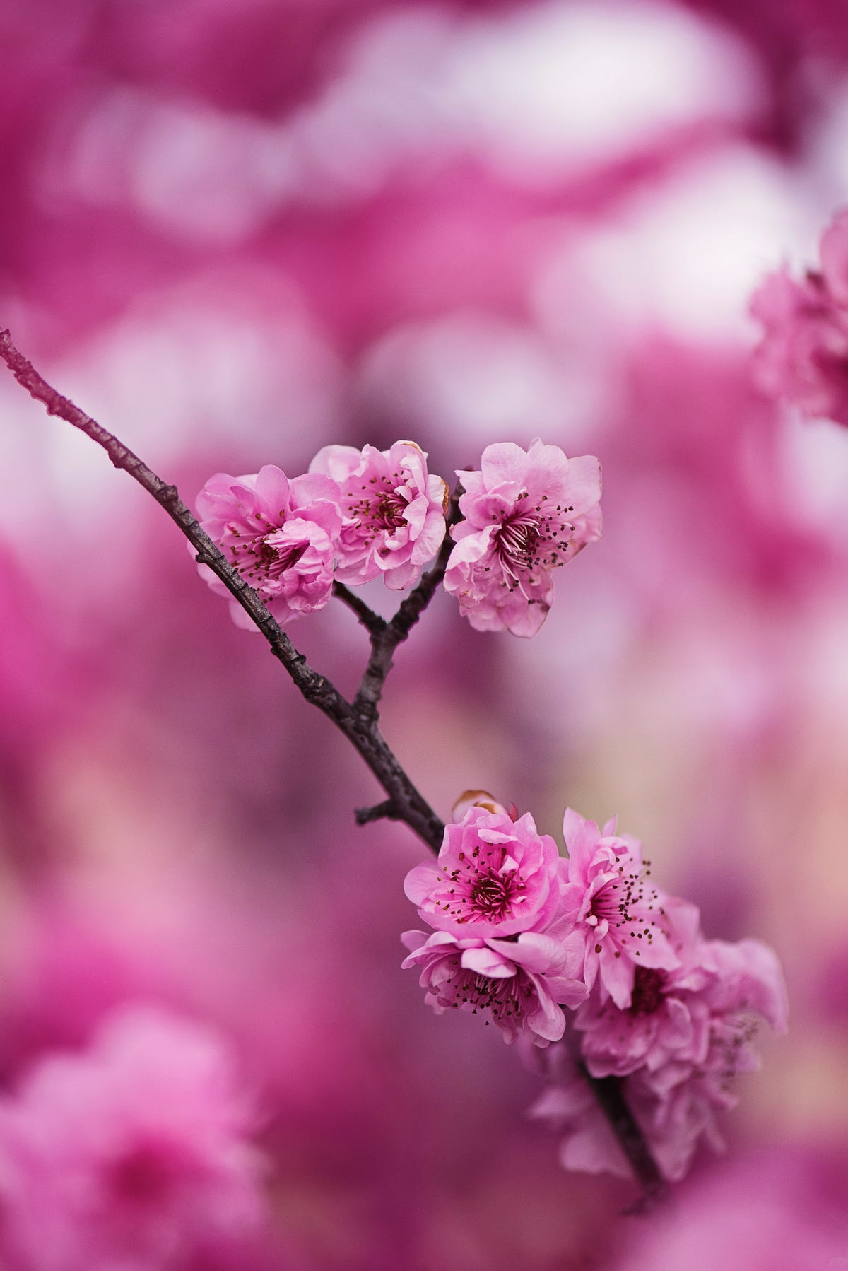 April call. Tell me where we go from here | by Think. | ThINK | Medium