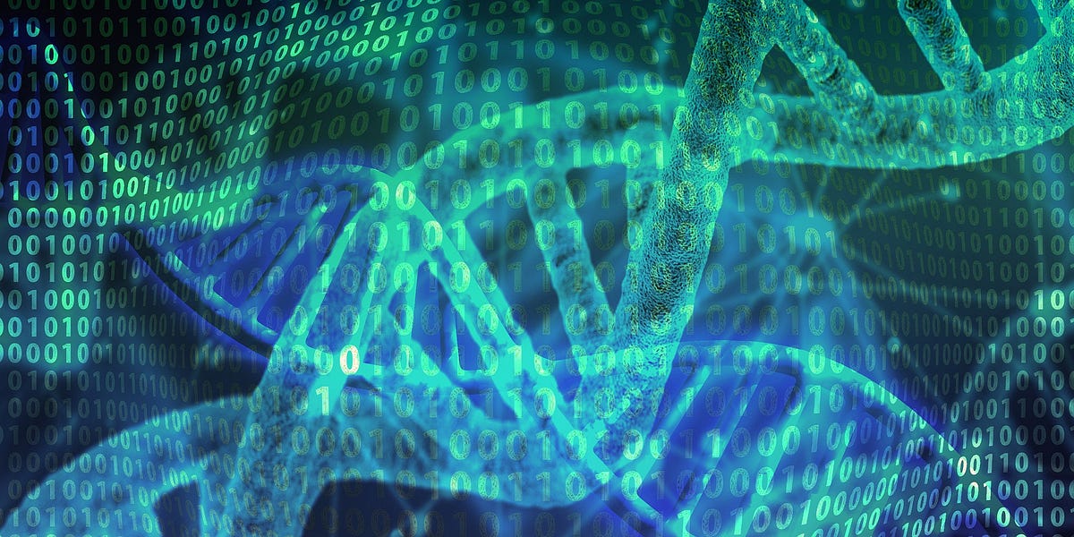 Blockchain to Become the DNA of AI | by Lance Ng | The Startup | Medium