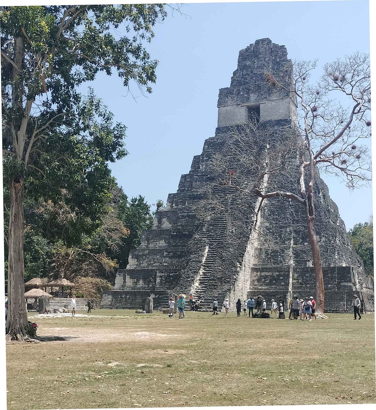 Tikal and Uaxactún: Among the Mayan Pyramids | by Mary Jane Walker | A ...