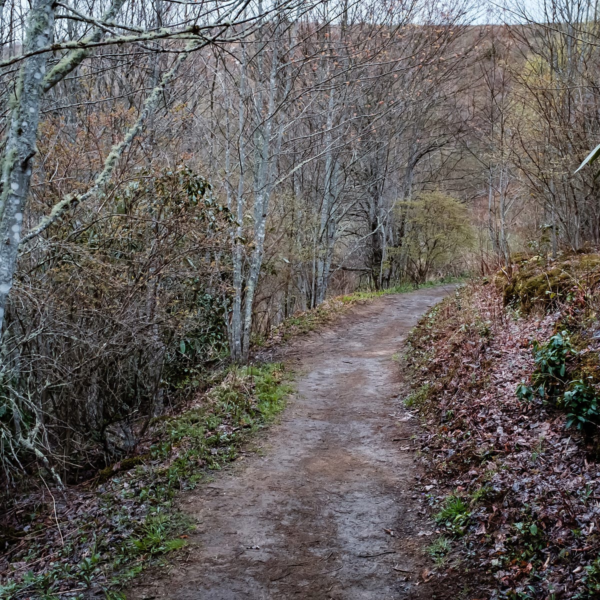 Inspired and Uninspired. I have been both inspired and… | by Tim Bindner | Medium