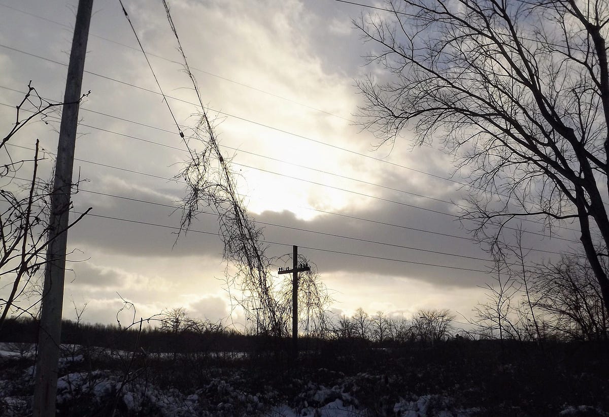 Another Day. by Brooke Lehr | by Brooke Lehr | Medium