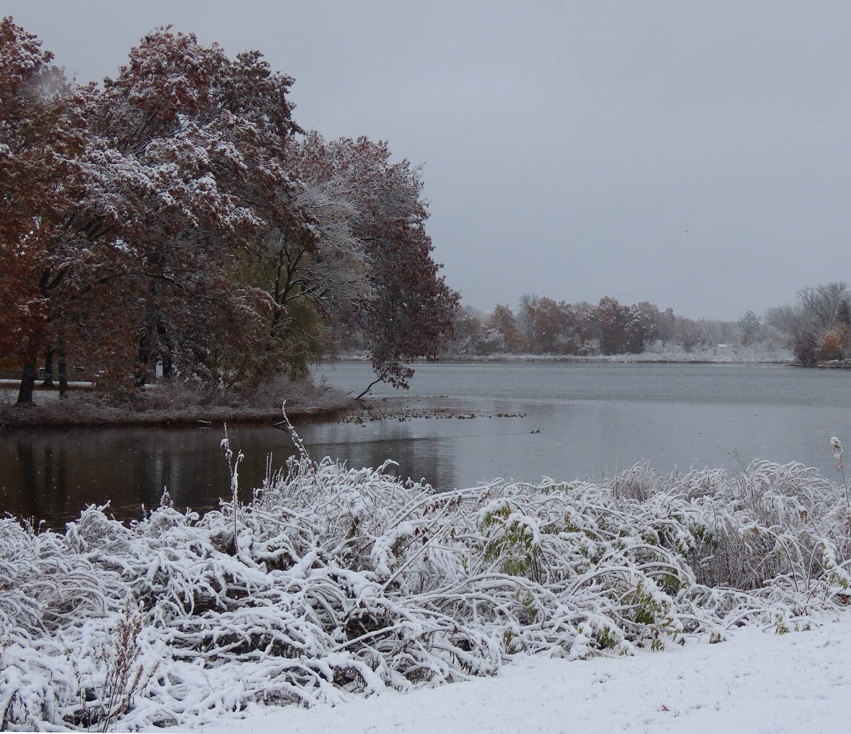 First Snowfall — Let’s Celebrate! | by Dawn Ulmer | Ride the Wave | Nov ...