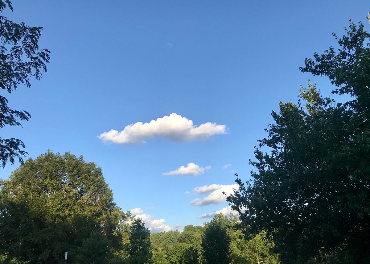 Haiku for a walk in the park. Bright blue summer sky | by Lucinda ...