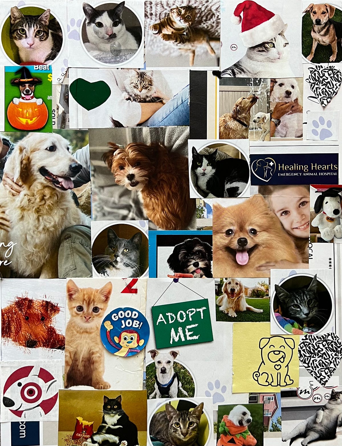 Collage of Cats and Dogs! - Catness - Medium