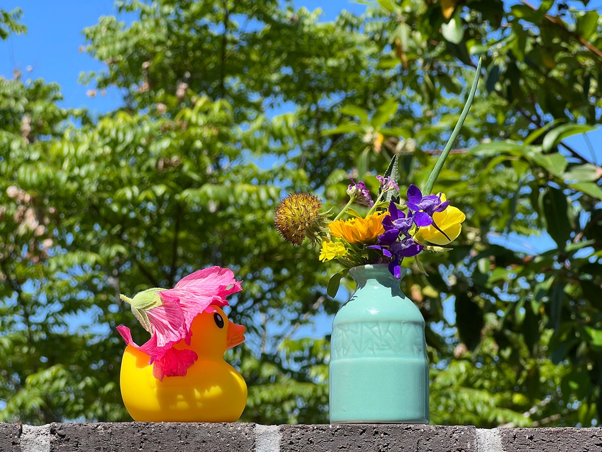 Whimsical Habits For Daily Joys!. Yes, even we adults need imagination ...