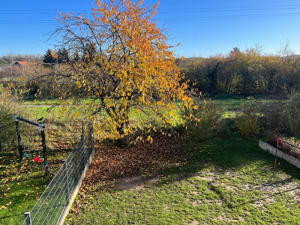 An Ode to Glory. I stand witnessing in awe | by anuradha kulkarni ...