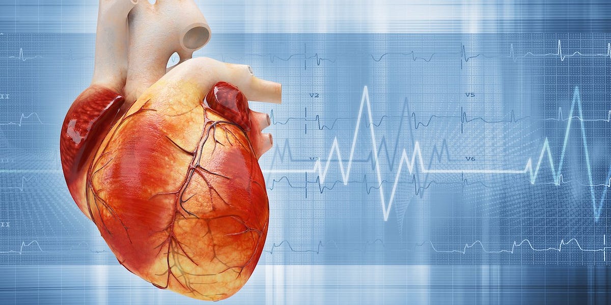 Herbal Medicine For Heart. Herbal medicine for heart is an… | by ...